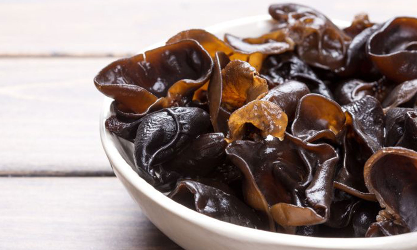 Wood Ear Mushroom – Mushroom Room